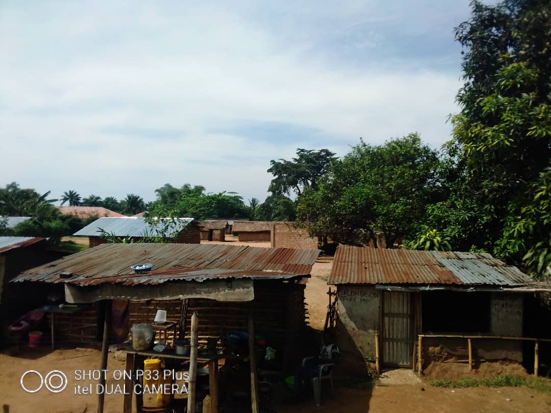 Kwilu : le territoire de Bagata frappé par une grande famine ...