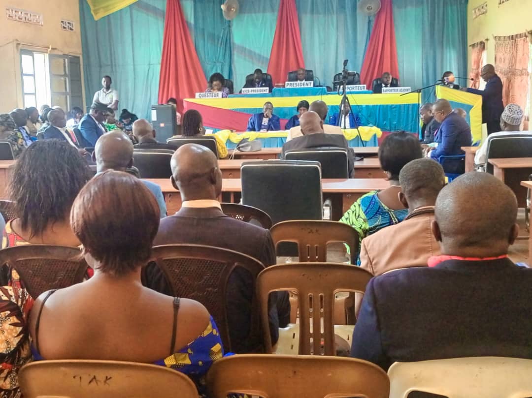 Assemblée provinciale du Haut-Uele : les pouvoirs des premiers ...